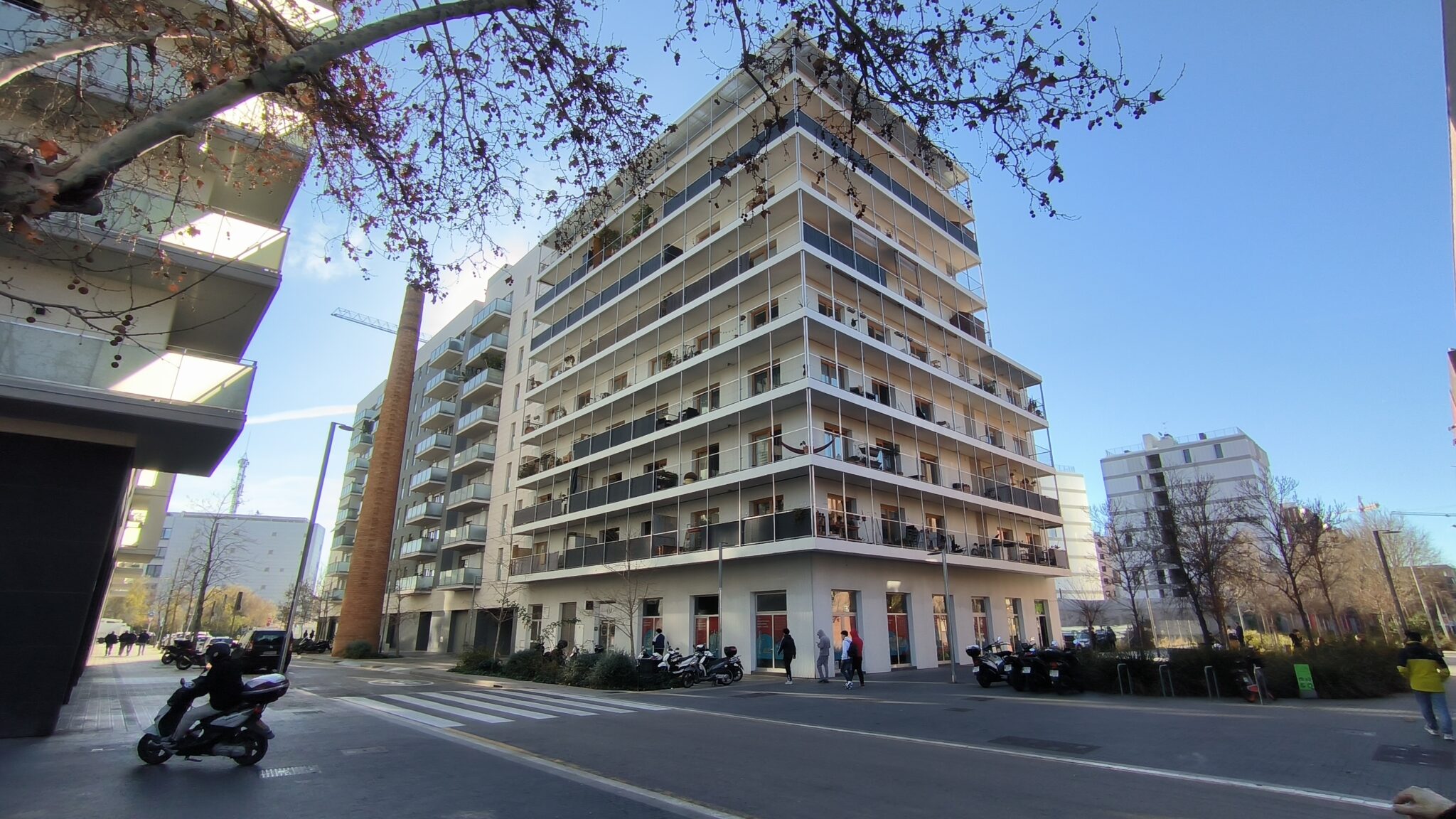 Finalización del Estudio de Establecimiento de Actividad Económica en ...